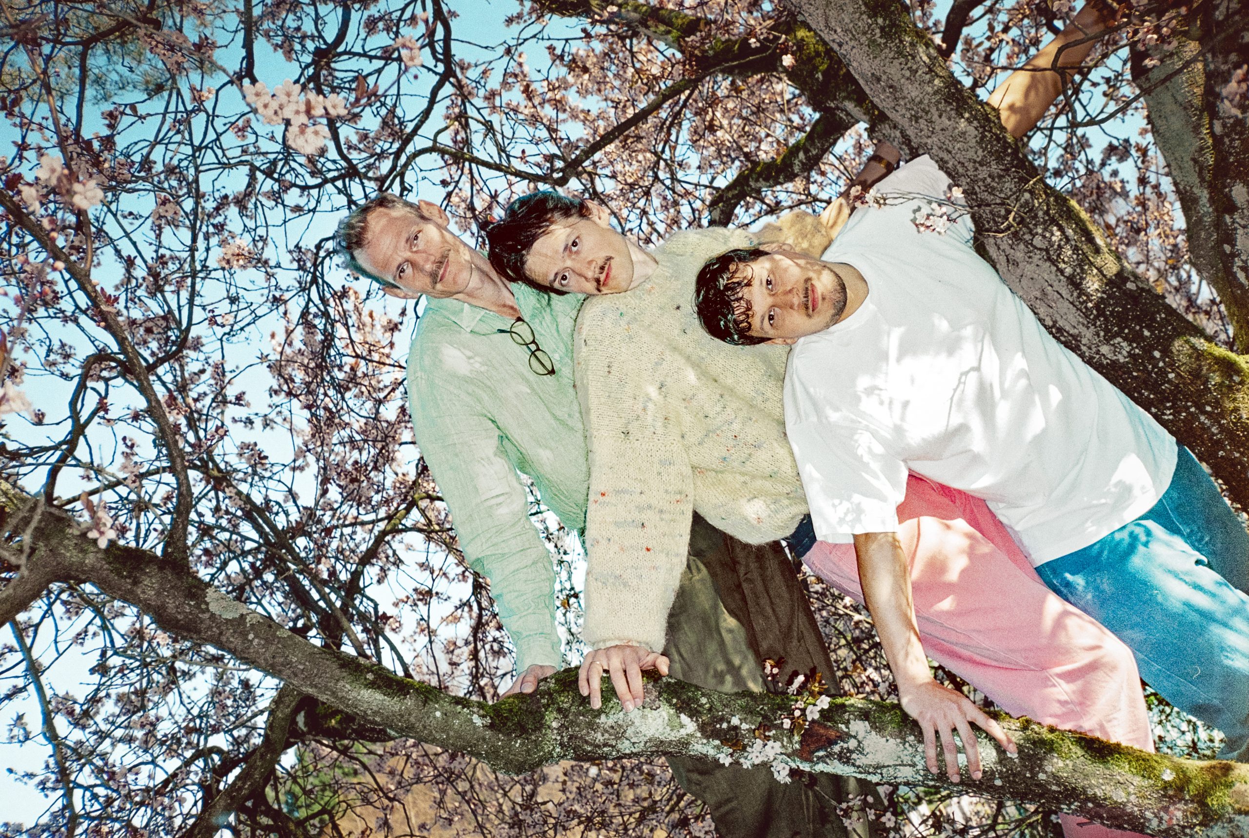 Löwenzahnhonig | Future Yard